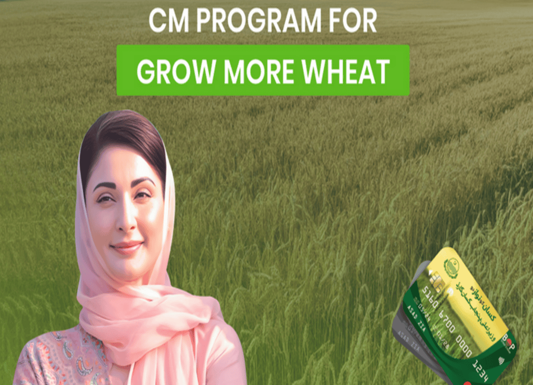 Grow More Wheat Program - Punjab Government Schemes 2025
